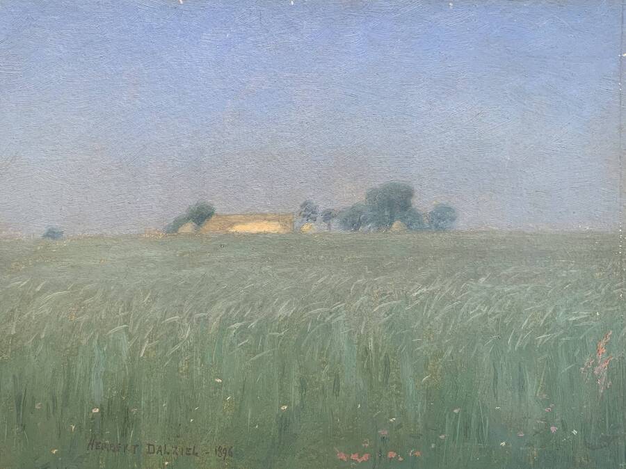 Harry Moore-Gwyn Fine Art - 181: Fields on a Sunlit Day